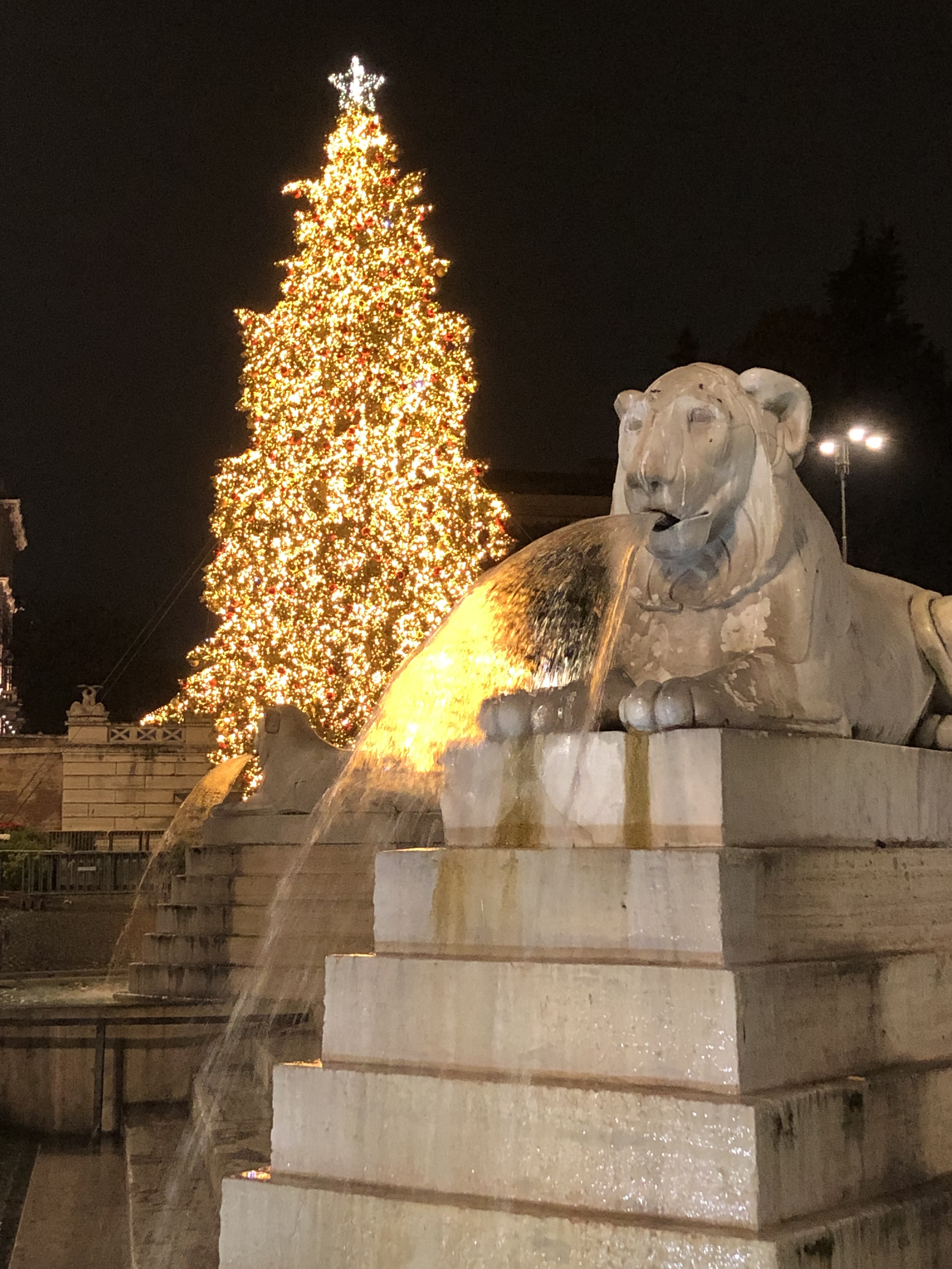 Rome for the holidays – Tony Lusvardi, S.J.
