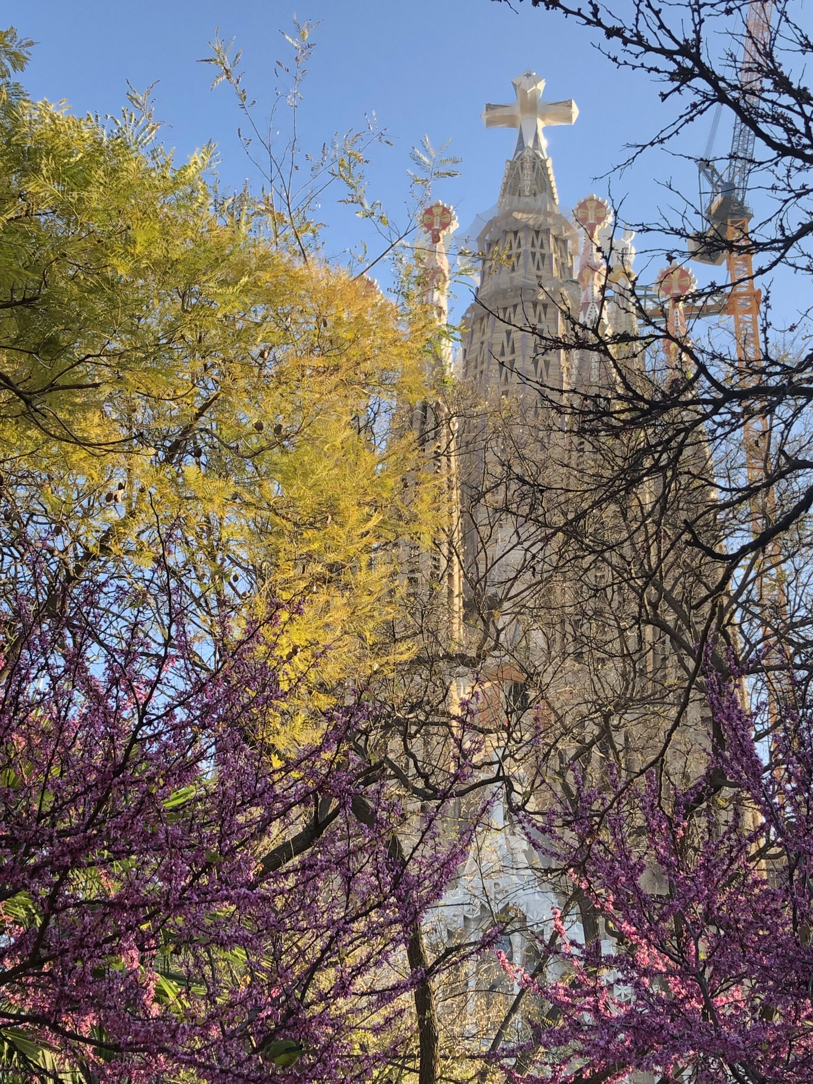 Easter images from the Sagrada Familia – Tony Lusvardi, S.J.